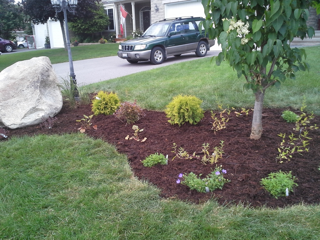 after-grass-lawn-with-boulder-and-plants-ottawa – Carp Garden Services